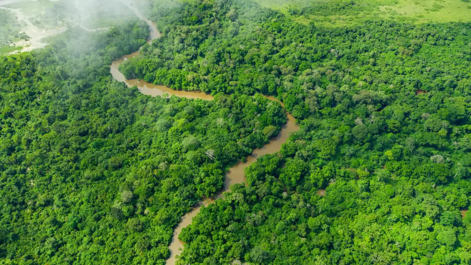 Congo Rainforest and Basin: The Lungs of Africa - Fund the Planet